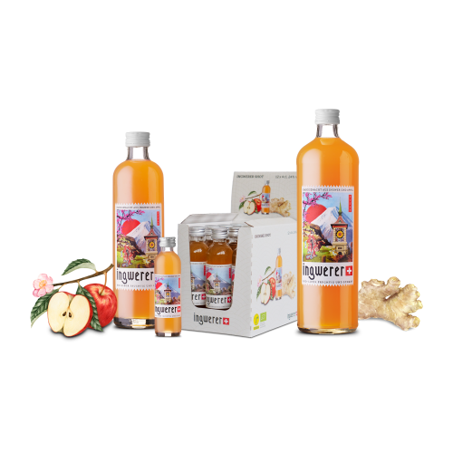 ingwerer Ginger Liquör (12 x 4cl)
